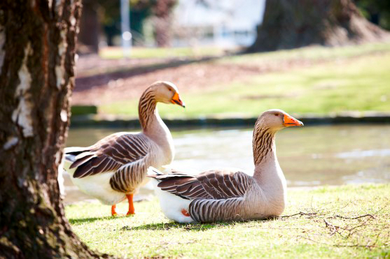 Glen Eira City Council - Sign in