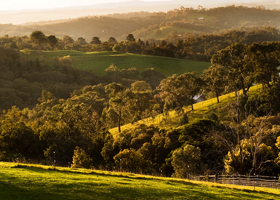 Nillumbik Shire Council - Sign in
