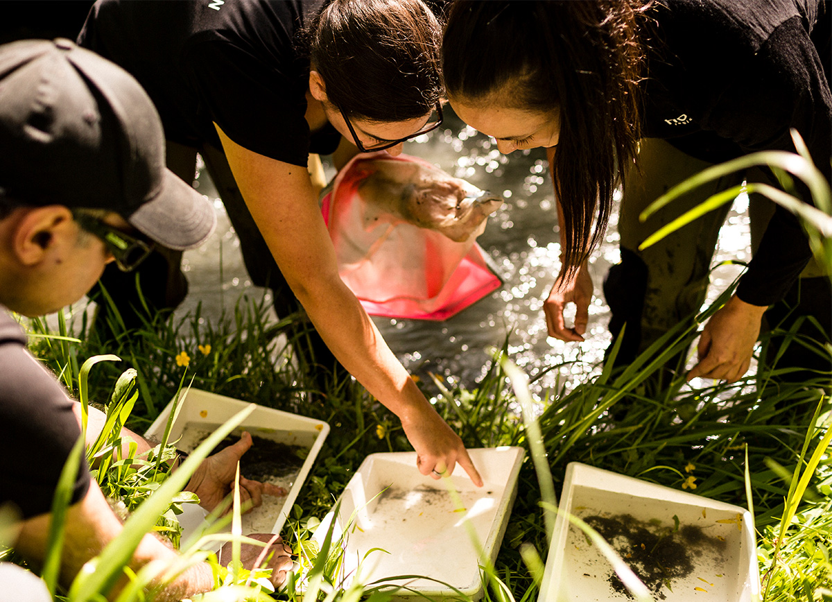 Horizons Regional Council - Sign in